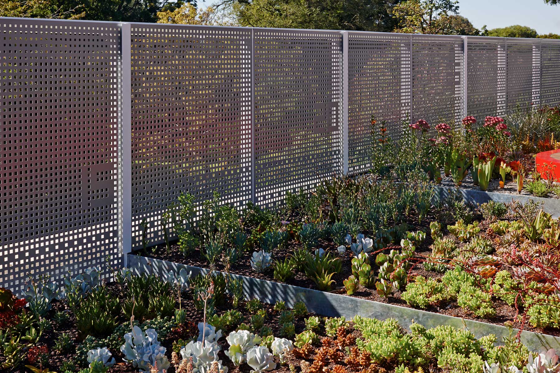Burnley Living Roofs | By Hassell